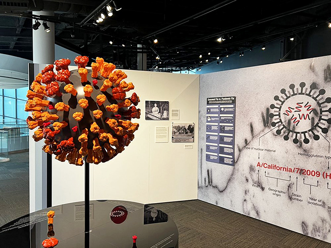 Meet the world's least cuddly stress ball&mdash;a giant virus model that's equal parts fascinating and slightly unsettling. Don't worry, it's not contagious!