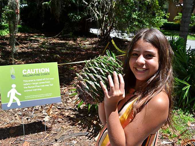 Caution: Falling pine cones and rising Instagram likes! This visitor's found the perfect prop for her "I'm on vacation" humble brag.