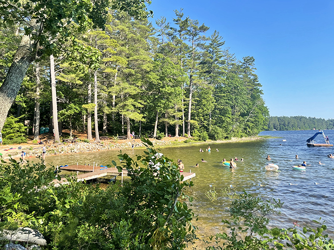 Cool off and chill out! These swimmers have mastered the art of beating the heat, Maine-style.
