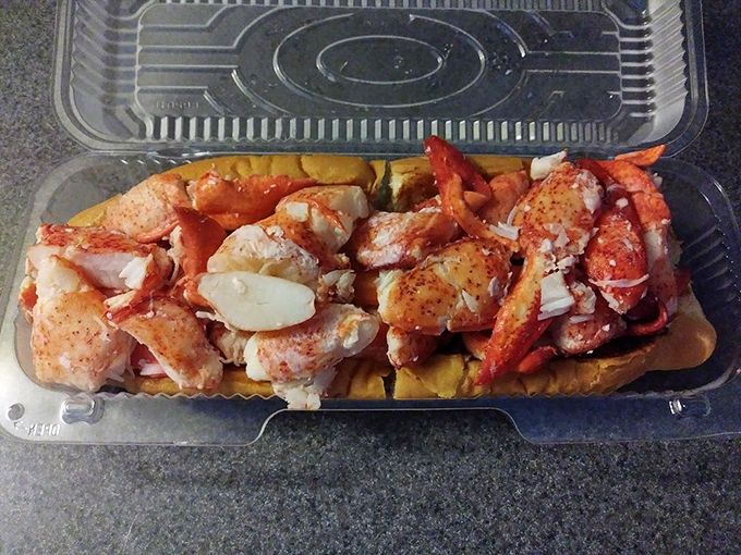 Is that a lobster roll or a small kayak? Either way, you're in for quite the delicious voyage.