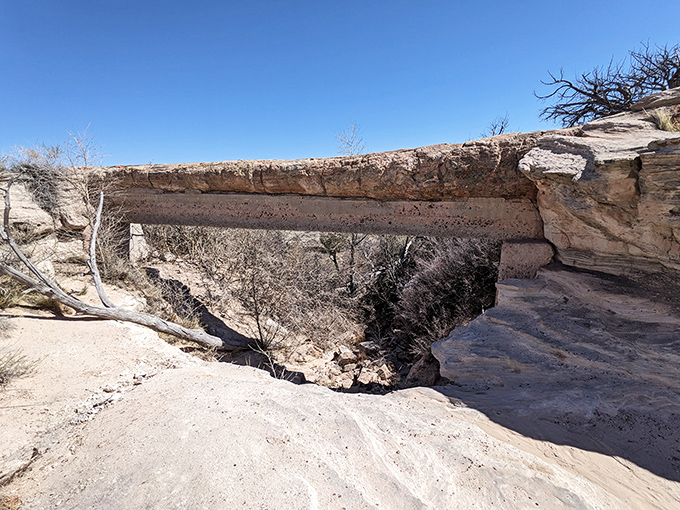 Mother Nature's balancing act: Agate Bridge proves that even 225-million-year-old logs can pull off a perfect plank pose.