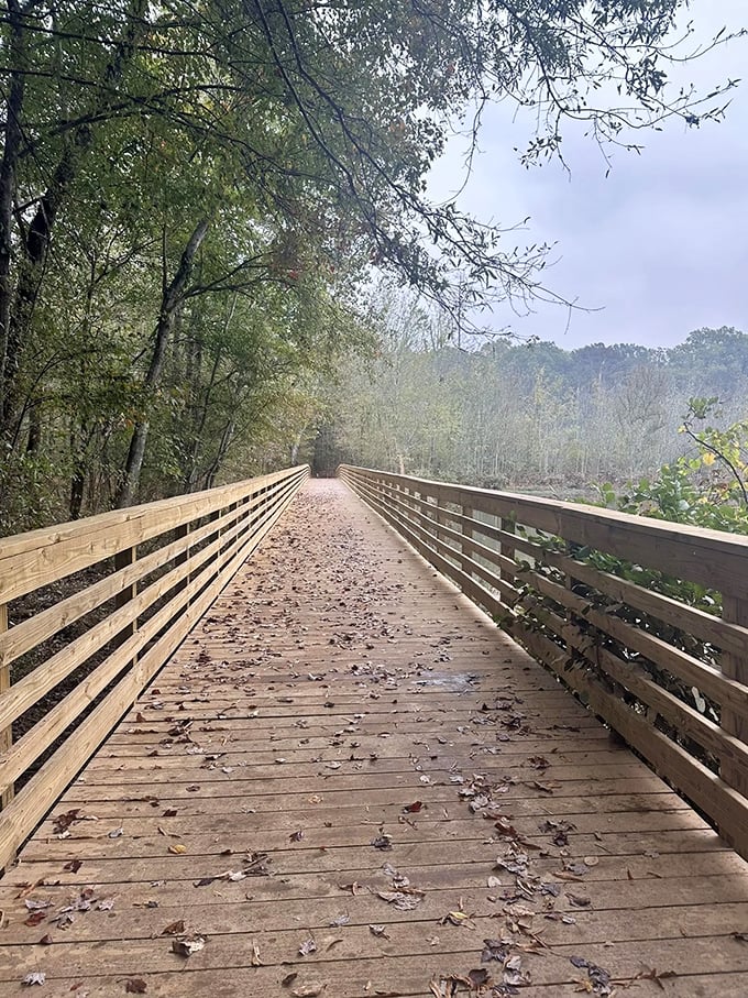 A bridge to somewhere strange! This misty boardwalk beckons brave souls into a realm where nature and nostalgia collide.