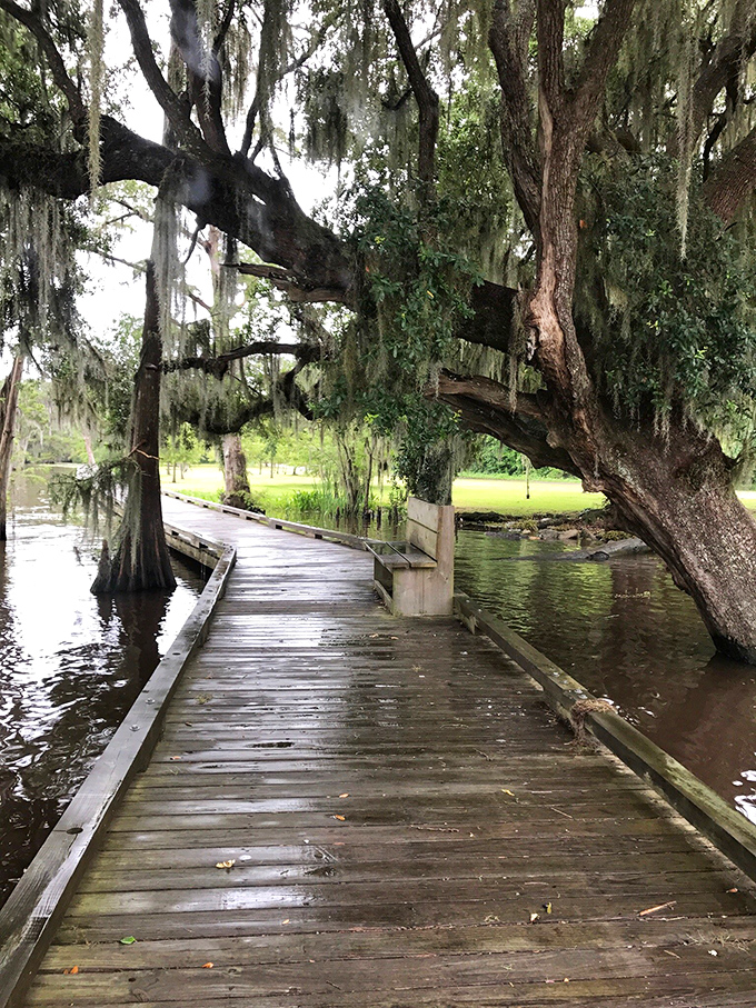 A boardwalk straight out of a fairy tale. Just add some Spanish moss and voila - you're in a real-life enchanted forest.