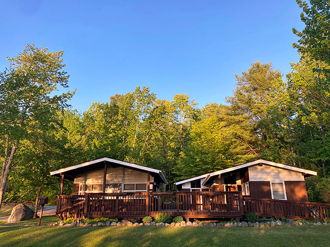 Cozy up in these charming cabins. It's like glamping, but with actual walls and a distinct lack of bears.