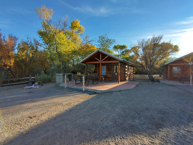 Rustic luxury at its finest. These cabins are like Lincoln Logs for grown-ups, but with actual plumbing. Glamping, anyone?