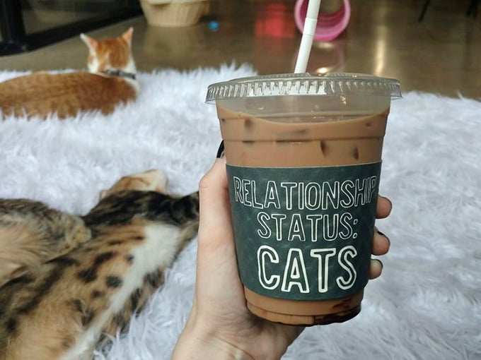 "Relationship status: It's com-paw-licated." This cup speaks the truth for many visitors who leave with hearts full of furry love and caffeine.