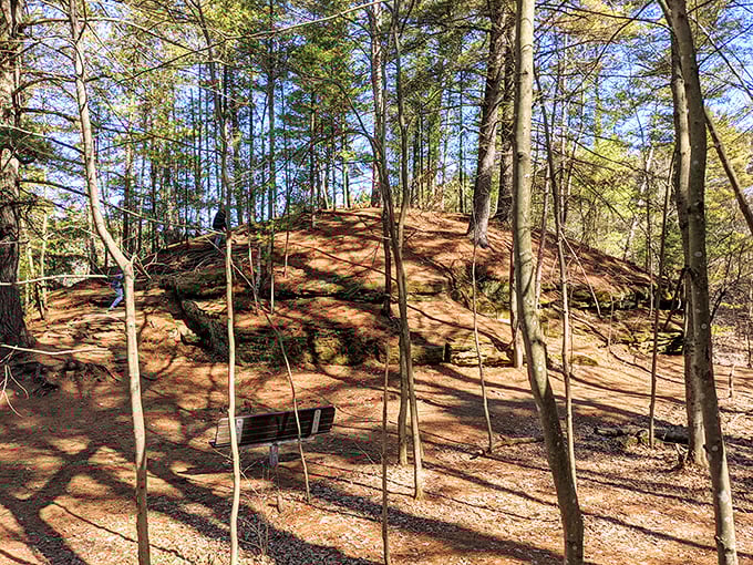 Echo Rock: Nature's amphitheater where even your worst dad jokes sound like comedy gold. Just don't expect a standing ovation from the trees.