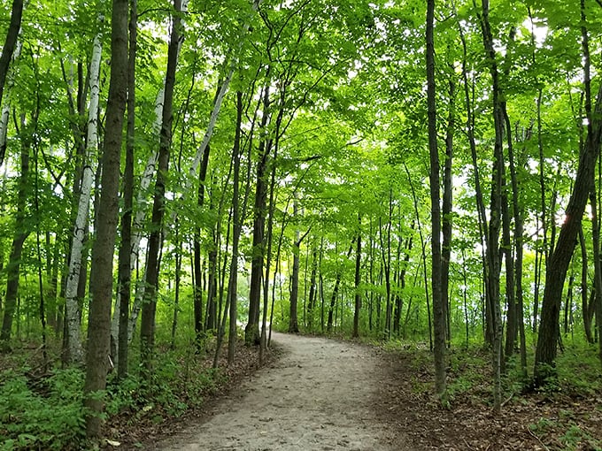 Follow the Effigy Mound Trail, where every step is a journey through time. It's like "Night at the Museum," but with better scenery.