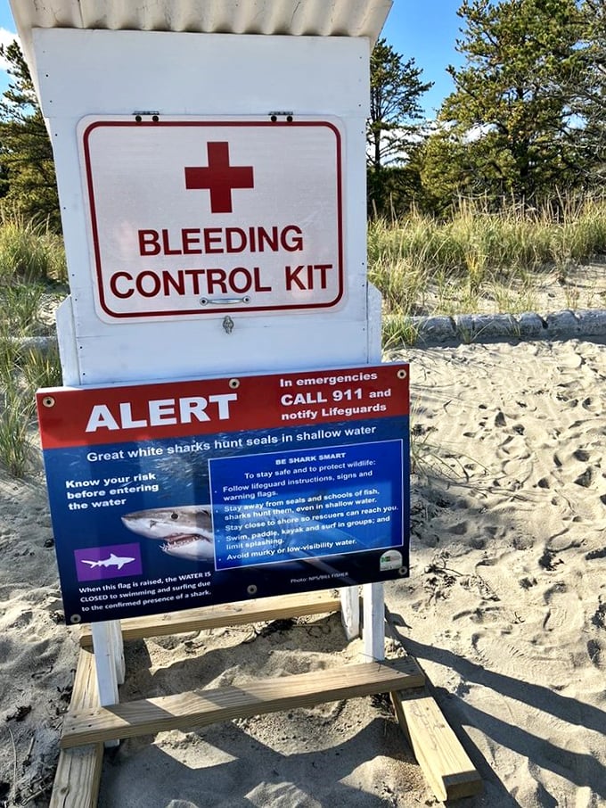 Safety first, shark... second? This sign is Maine's version of "Jaws," but don't worry - the only thing likely to attack is your appetite for seafood.