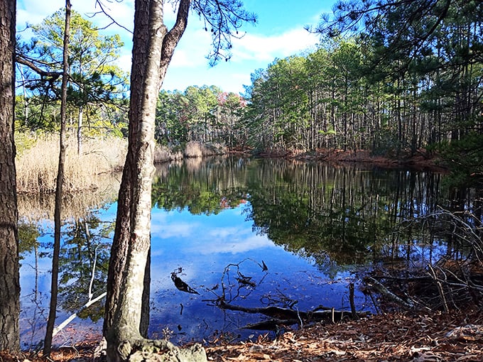 Nature's spa day: These former borrow pits have transformed into serene pools, offering a retreat that beats any fancy resort.