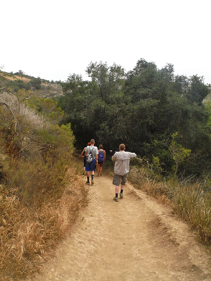 The human parade on nature's runway. Remember, in this fashion show, sensible shoes are always in vogue!