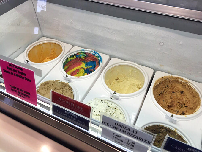 Decisions, decisions! This ice cream case is like a colorful choose-your-own-adventure book, but every choice leads to deliciousness.