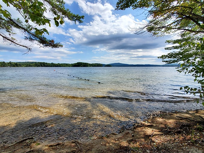 "Lake views that'll make your Instagram followers green with envy." Framed by pines and distant hills, this vista is a feast for the eyes and balm for the soul.