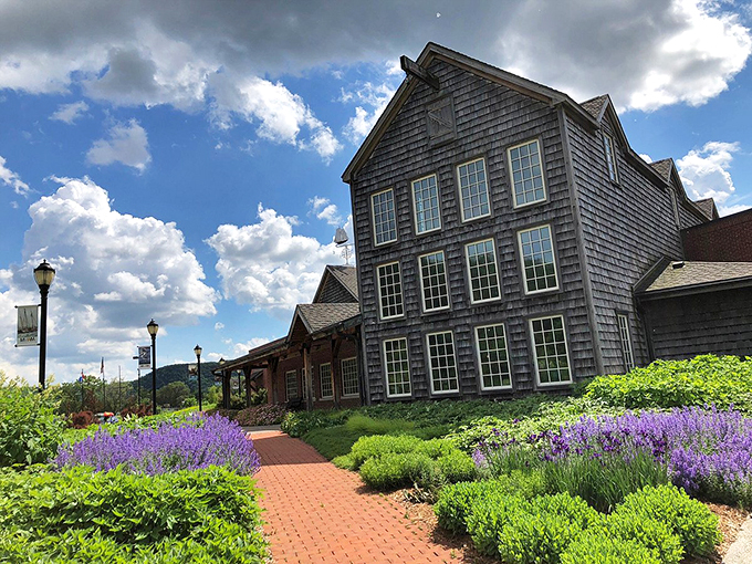 Minnesota Marine Art Museum: Proving landlocked states can make waves. It's like finding a pearl in your cornflakes &ndash; unexpected and delightful.