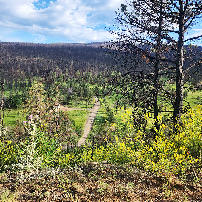 Mountains so majestic, they make the Rockies look like speed bumps. The stunning vista at Morphy Lake State Park is nature's own IMAX experience.