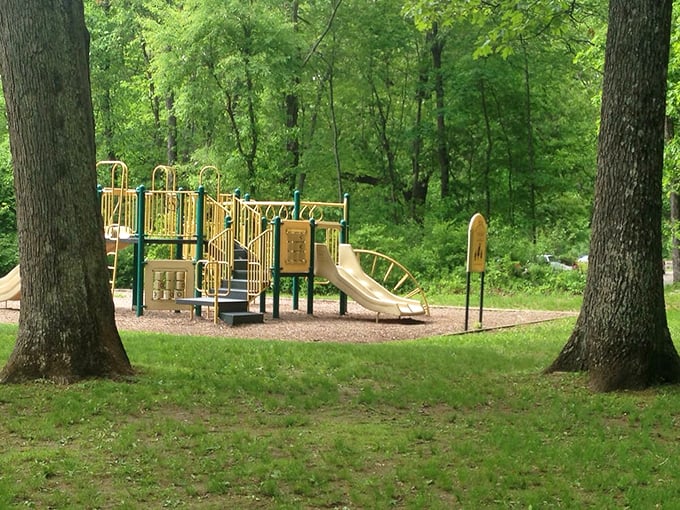 Jungle gym meets actual jungle! Where kids can swing like Tarzan and parents can finally catch their breath.