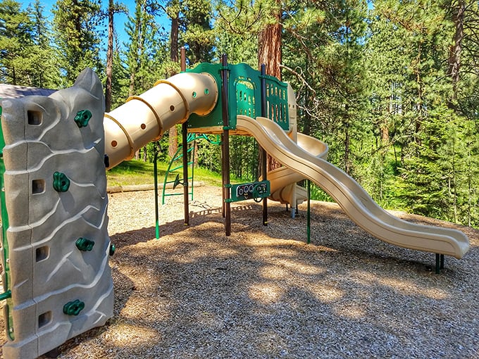 Jungle gym or spaceship? This playground's ready to launch your kids into orbits of fun faster than you can say "ground control."