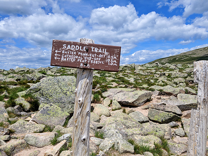 Saddle Trail: Where every step is a choose-your-own-adventure story, and the plot twist is always breathtaking views.