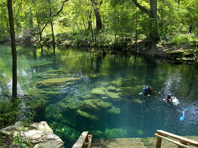 Scuba divers living their best "Little Mermaid" life. Who needs Atlantis when you've got this underwater paradise?