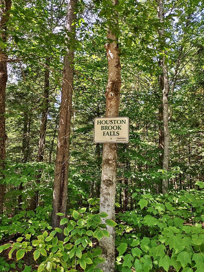 "Houston Brook Falls" - because "Awesome Water Playground" wouldn't fit on the sign. Mother Nature's way of saying "You are here."