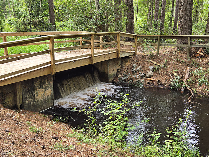 Bridge over not-so-troubled water. This charming wooden crossing is like nature's version of a red carpet, leading to your next adventure.