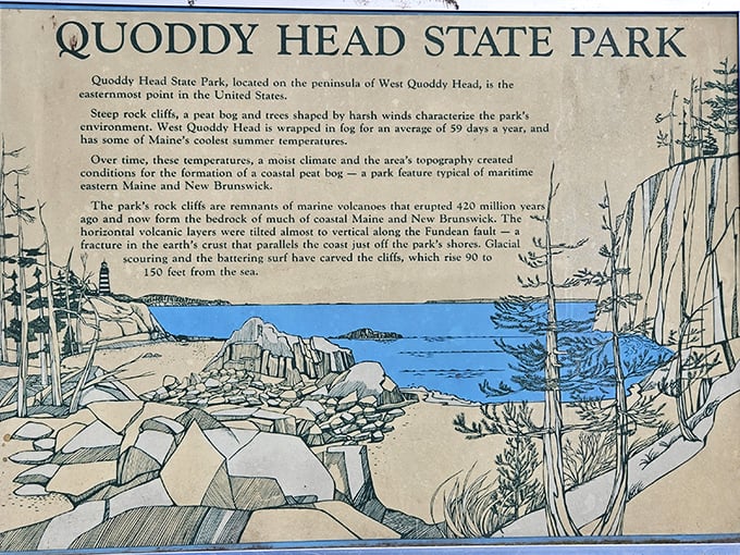 Nature's classroom awaits! This informative sign proves that not all education requires uncomfortable desks and pop quizzes.