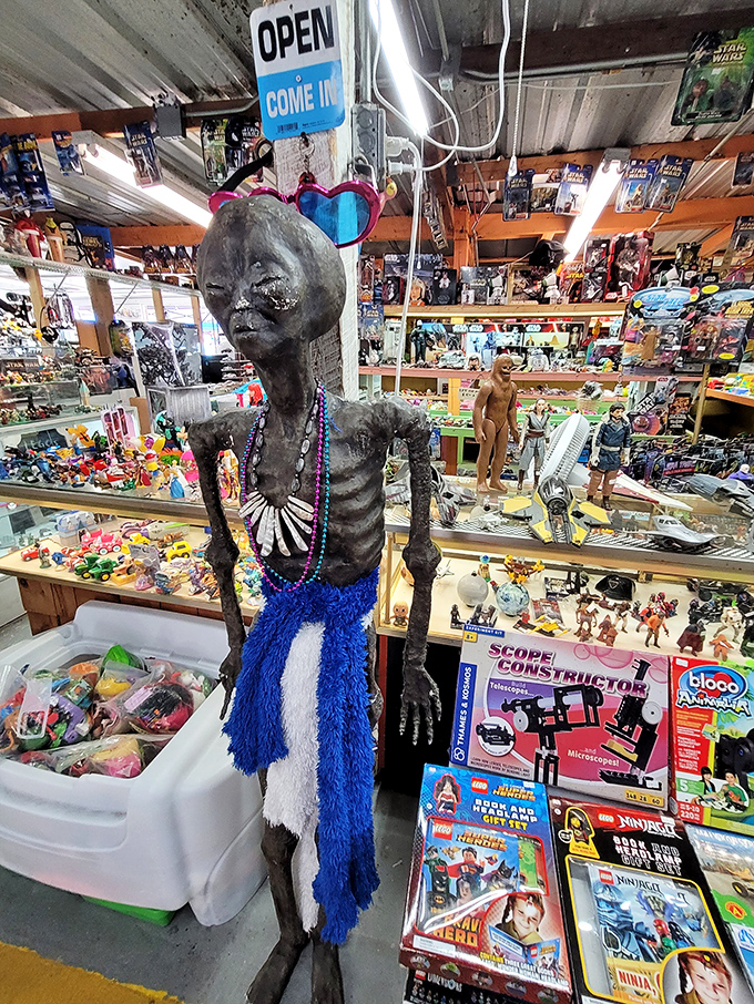 Toy story come to life! From nostalgic collectibles to modern gadgets, this booth is every kid's (and kid-at-heart's) dream.