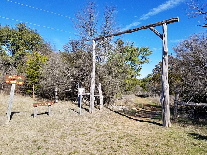Gateway to adventure! This trail entrance is practically begging you to channel your inner Indiana Jones &ndash; fedora optional, sense of wonder required.