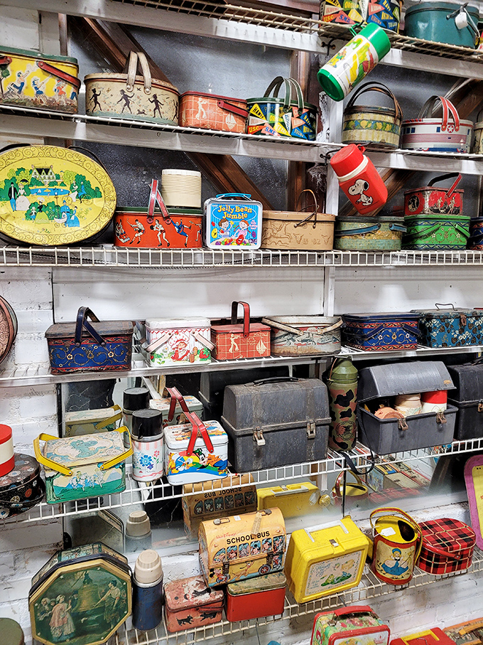 A rainbow of retro! These vintage lunch boxes are a feast for the eyes, serving up a smorgasbord of childhood memories.