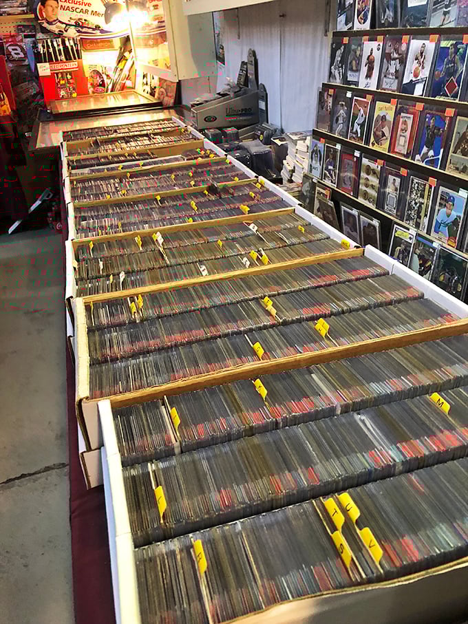 Vinyl enthusiasts, prepare to lose track of time! This record collection is a goldmine of forgotten hits and undiscovered gems.