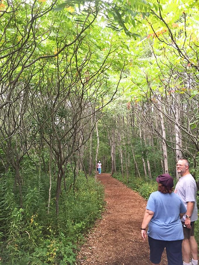 Follow the leader into a leafy labyrinth. These hikers are on a quest for the holy grail of fresh air.