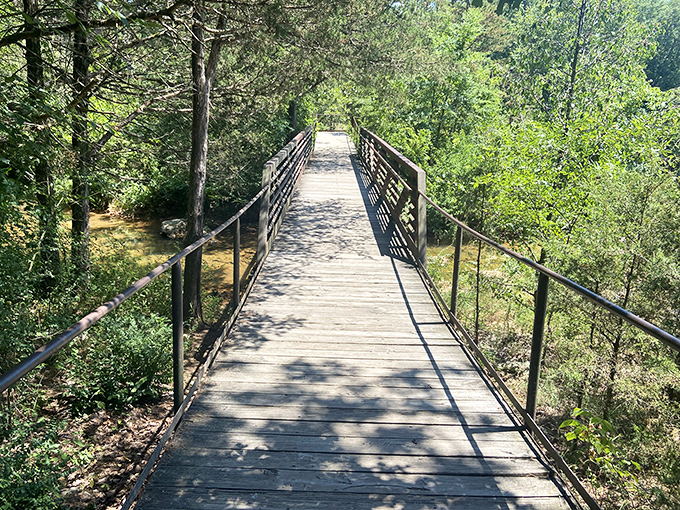 Follow the wooden path to wonder. It's like the Yellow Brick Road, but with more trees and fewer munchkins.