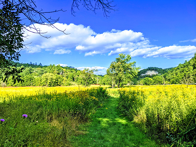 Mother Nature's masterpiece! Whitewater State Park paints a scene so picturesque, it puts Bob Ross to shame.