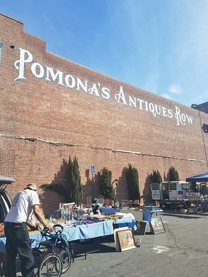 Antique displays that'll make your grandma's china cabinet look like amateur hour. It's a feast for the eyes that'll leave your wallet feeling a bit peckish.