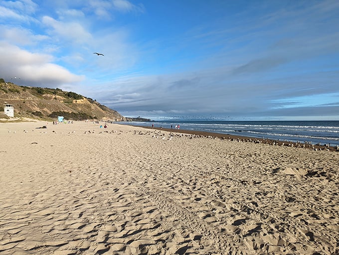 Sand, sea, and serenity. Stinson Beach offers a front-row seat to nature's greatest show &ndash; no ticket required!