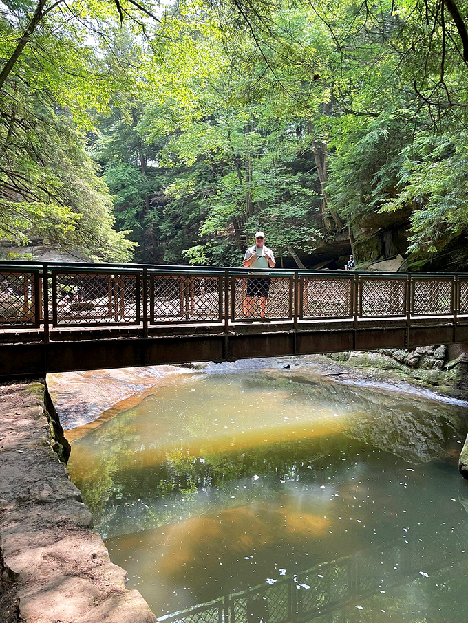 Bridge over not-so-troubled waters. This scenic crossing offers views that would make even the most seasoned Instagram influencer swoon.