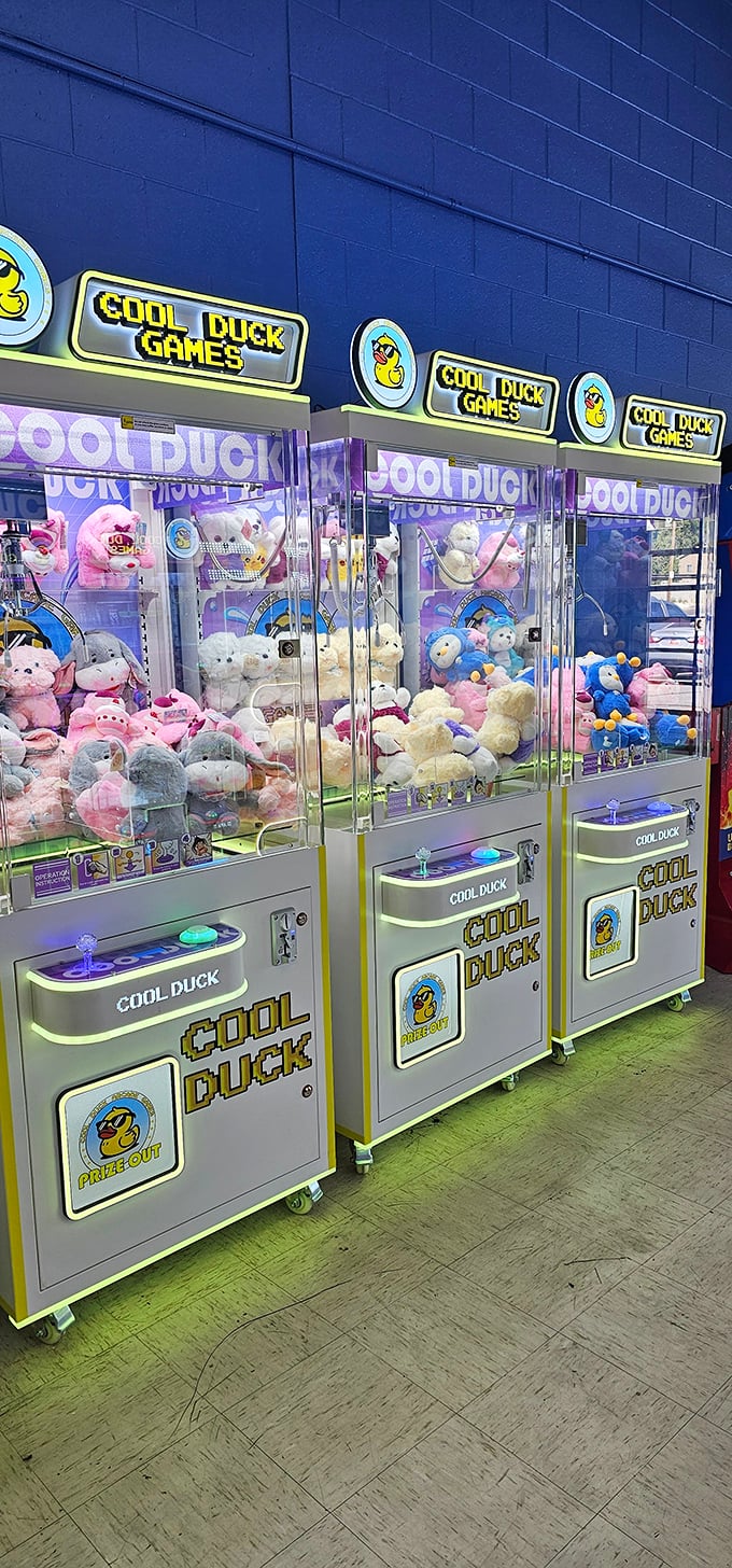 Plush paradise or stuffed animal purgatory? These claw machines are where childhood dreams and parental wallets collide.