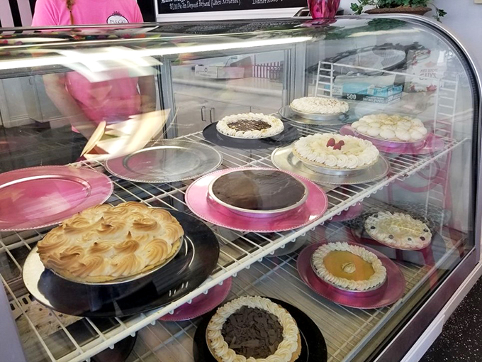 A lineup of cream pies that could make even the Mona Lisa smile. Each one is a work of art that Leonardo da Vinci would've traded his paintbrush for.