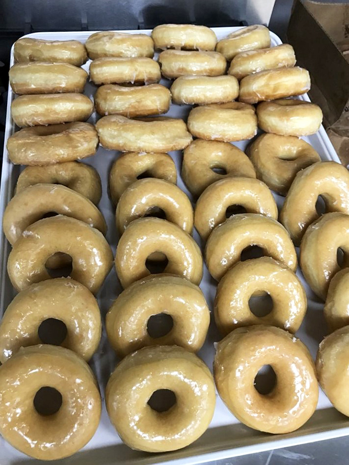 Glazed and confused? Not here! These perfectly aligned donuts are like a delicious army, ready to march straight into your heart (and stomach).