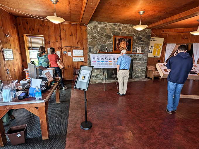 Step into Reich's world, where every knick-knack tells a story and every instrument might just hold the key to unlocking universal secrets.