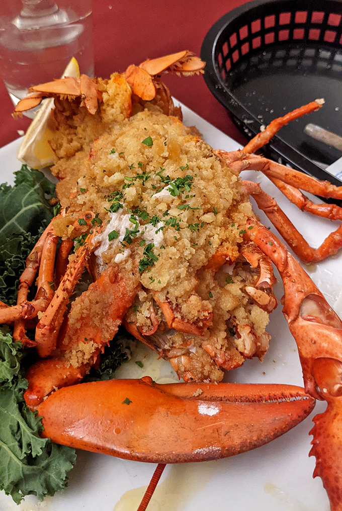 This isn't just lobster; it's a crustacean celebration! Dressed to impress and ready to dance on your taste buds.