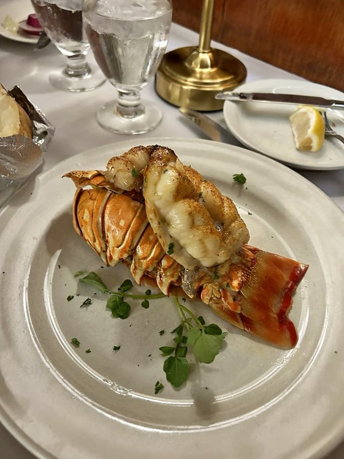 Tail as old as time! This succulent lobster tail, perched atop its shell, is ready for its butter bath. Sebastian from "The Little Mermaid" is shaking.