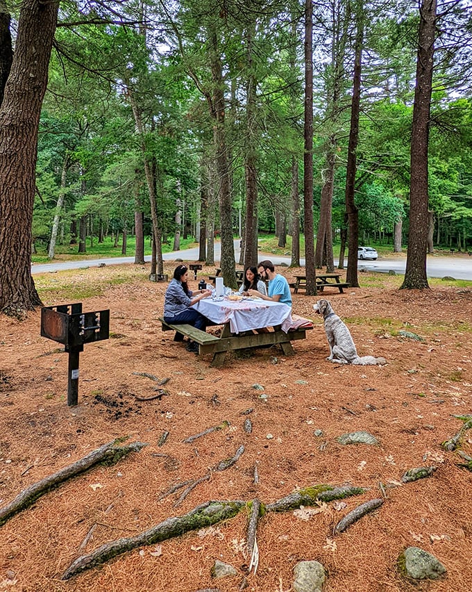 A hidden oasis that would make even Gilligan jealous. Who needs a three-hour tour when paradise is right in your backyard?