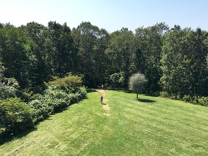 Green as far as the eye can see! This vista is Mother Nature's way of showing off her best work.