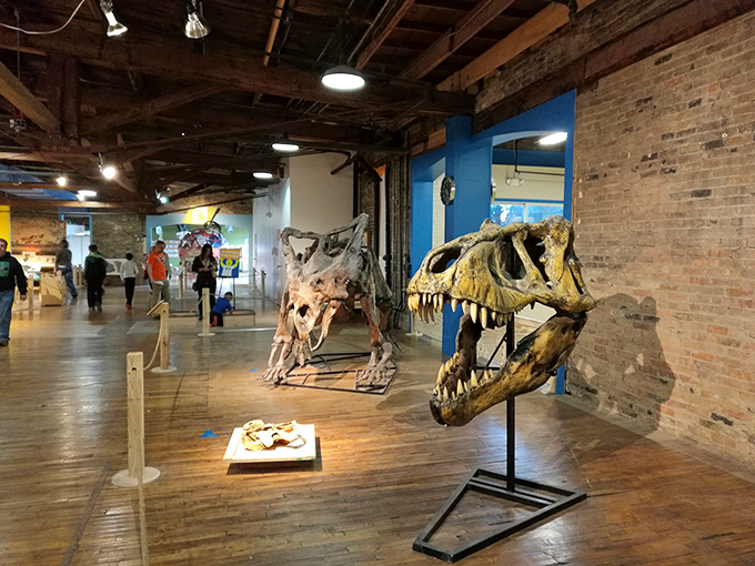 Bones about it! These prehistoric pals are more than just big skulls &ndash; they're portals to a world millions of years in the making.