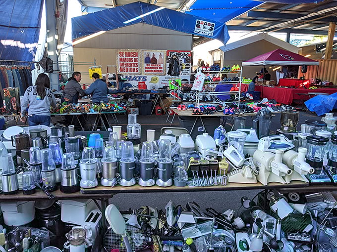 Bargain central! These sellers are ready to wheel and deal faster than you can say "discount."