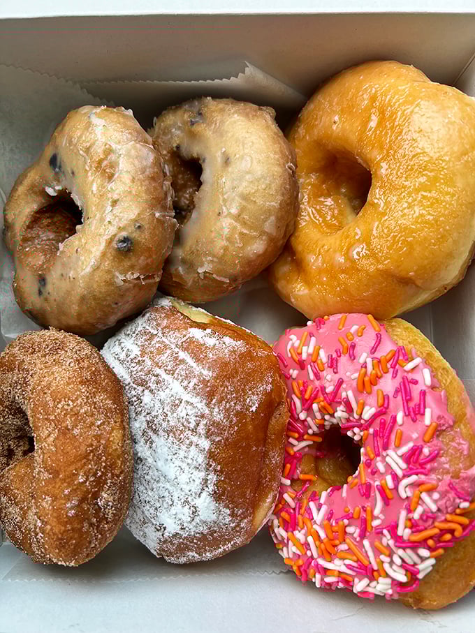 Sprinkle me happy! These colorful rings are like edible confetti, celebrating the simple pleasure of a perfect donut.