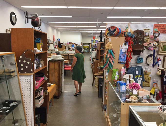 Lost in the labyrinth of curiosities, this explorer navigates a sea of knick-knacks. Indiana Jones, eat your heart out!