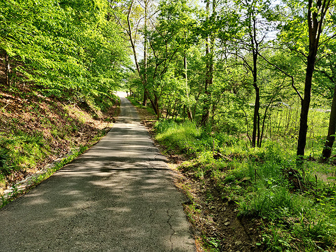 The path less traveled... by cars! This trail is where fitness enthusiasts and nature lovers unite for a dose of green therapy.