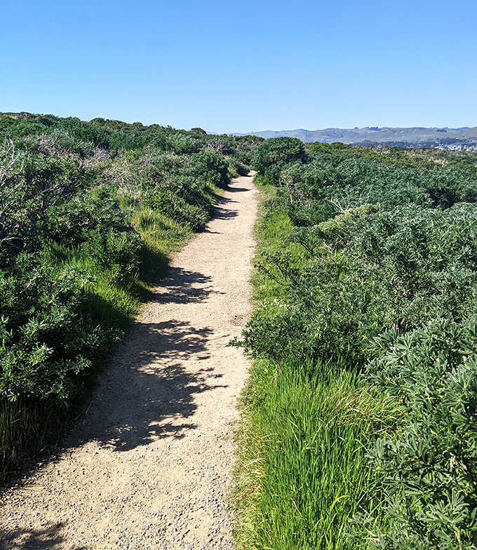 Take a walk on the wild side. This trail offers more twists and turns than a soap opera, but with better views.